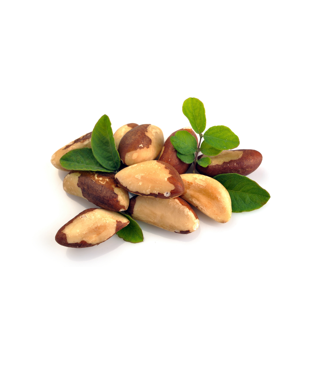Queen Lopes - Premium Brazilian Fruit Export | From Brazil, with quality
